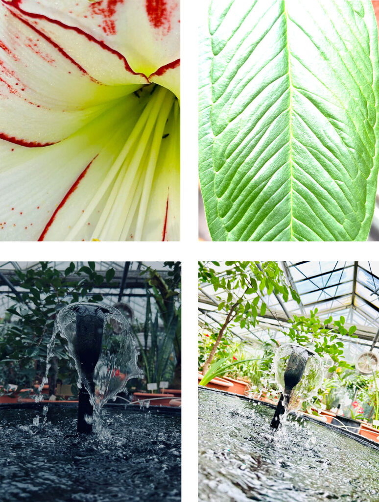 Ausflug der Klasse 7b ins florale Weihnachtsatelier – Goethe-Gymnasium Hamburg